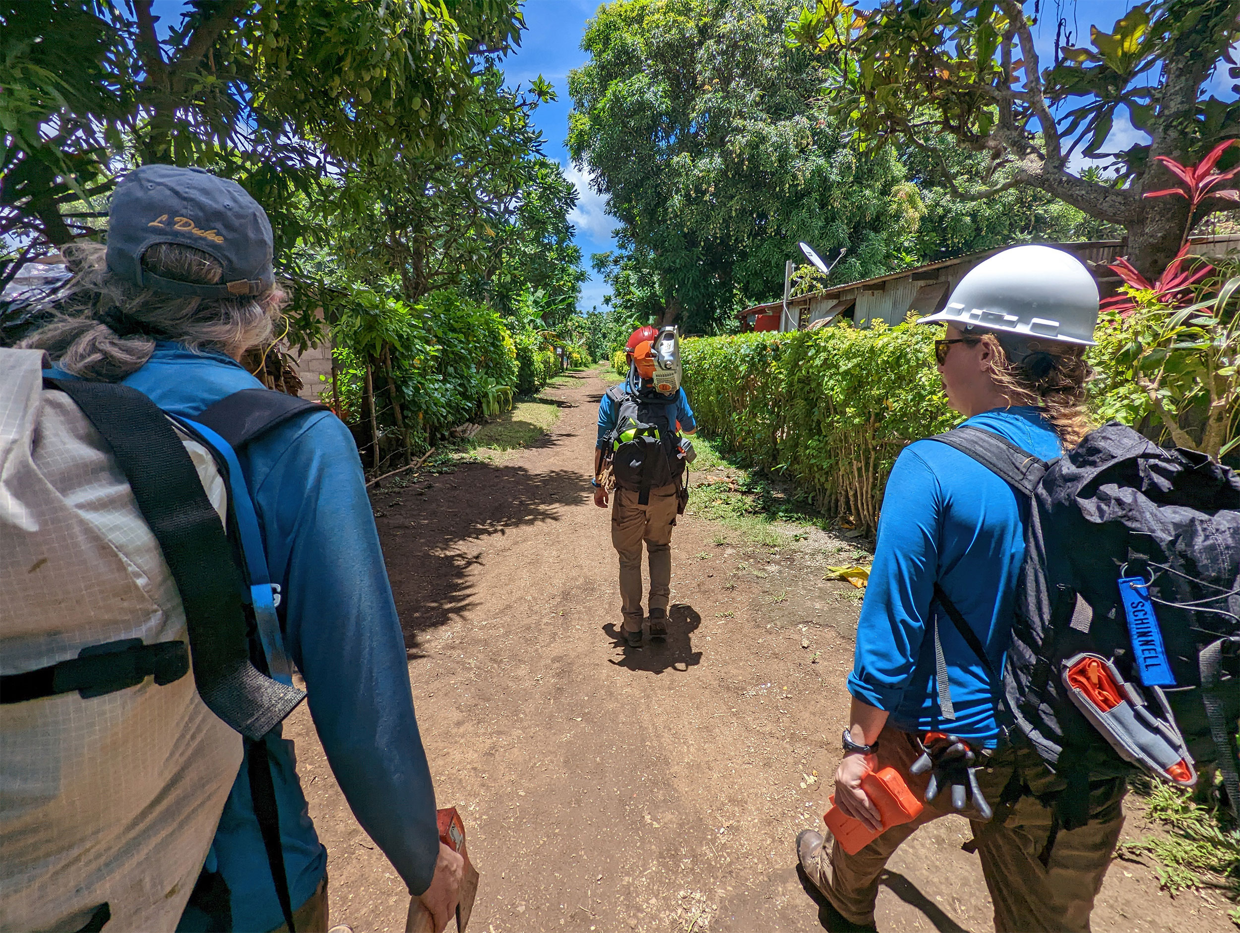 Global Support and Development (GSD)